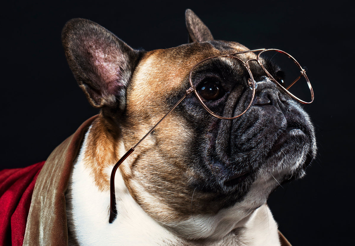 アオハル式お悩み別スペシャルケアの極意〜シワ＆たるみ Vol.1〜 — 美容皮膚専門店 AOHAL365